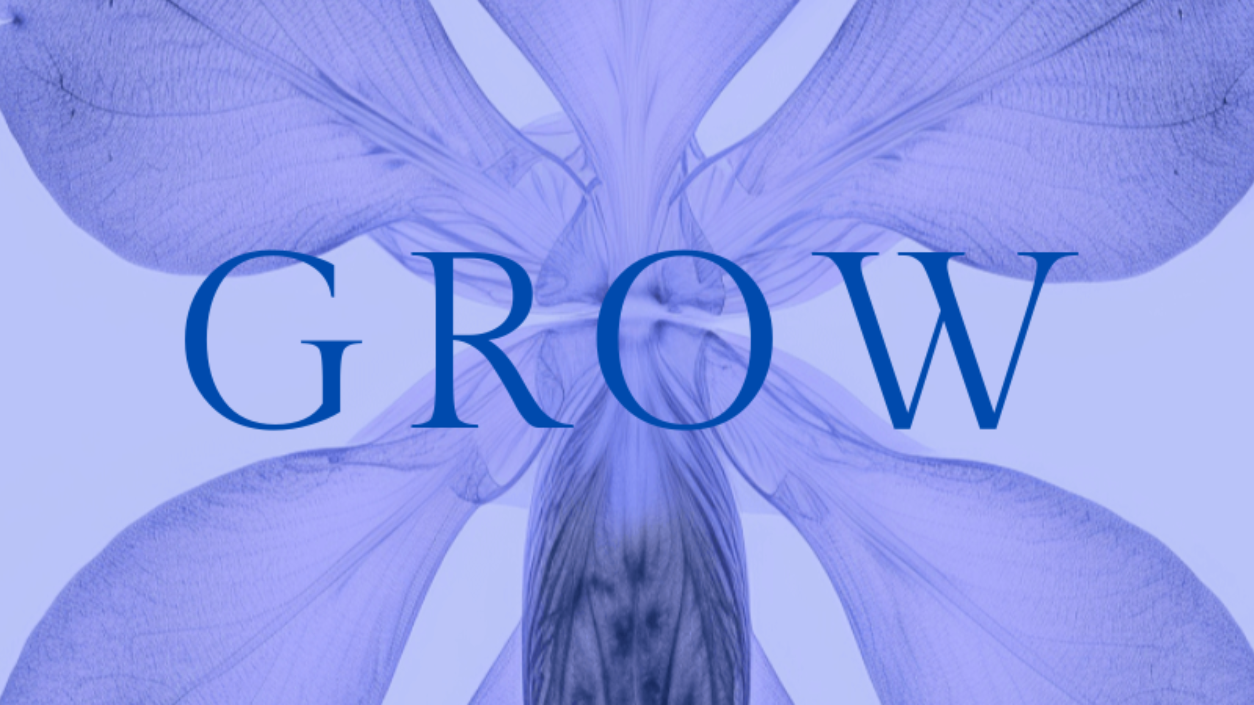 Orgasmic Meditation: How It Helped Me Connect with Women | Eros Pla...