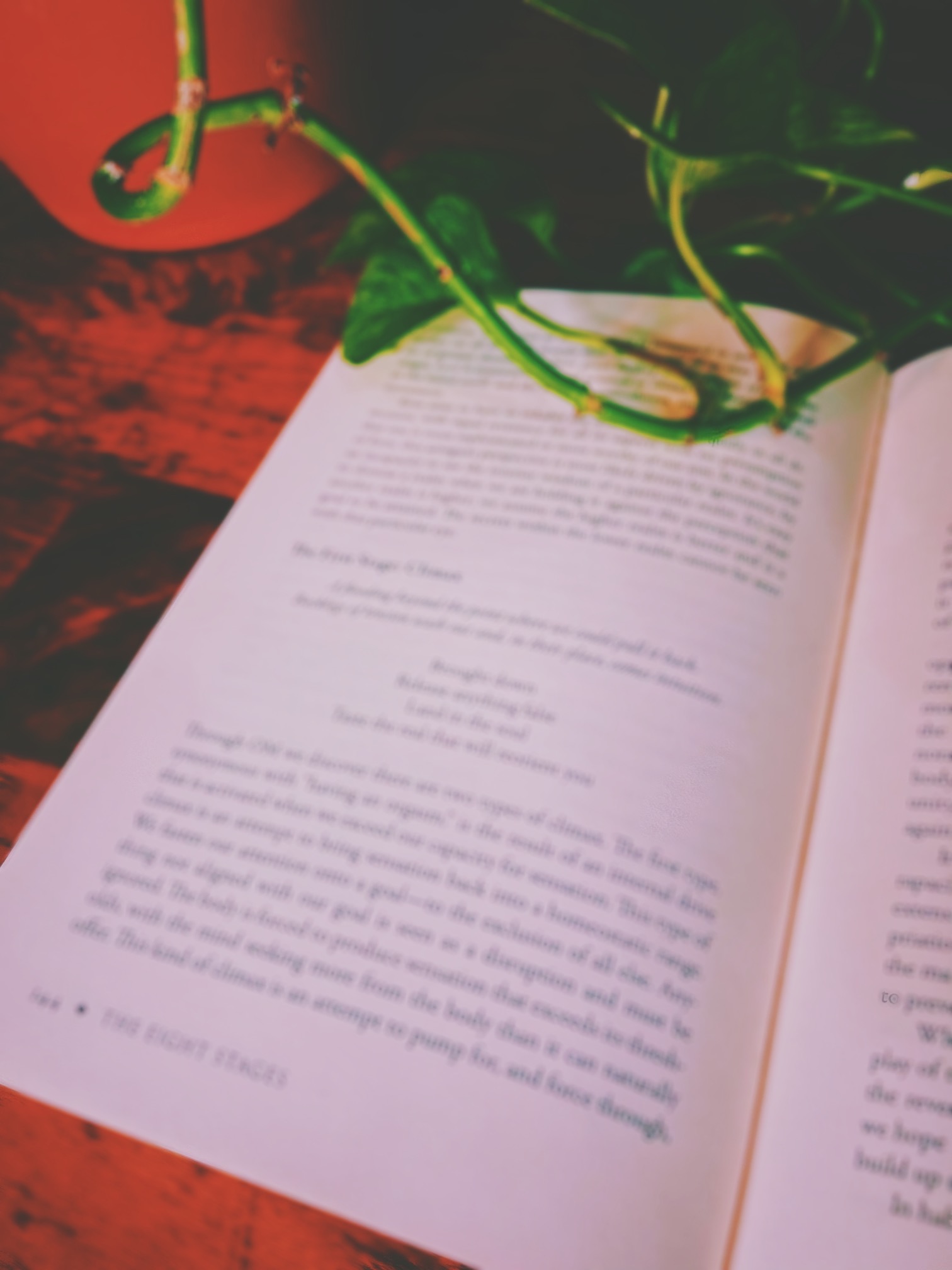 AoS Book Club Series with Beth Wareham | Eros Platform